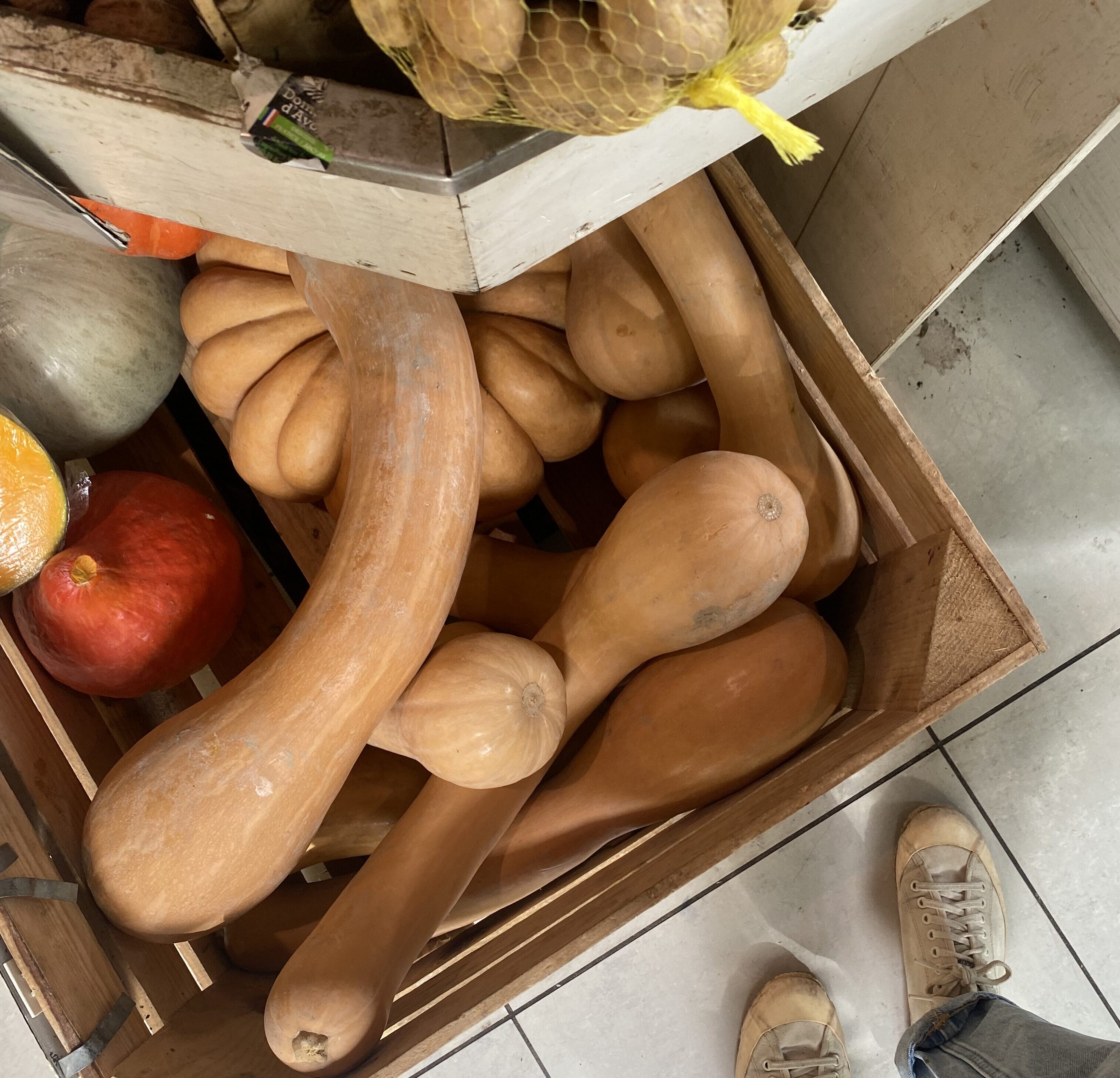 October Roots: Food to Feel Rooted in Body & Mind - sasha yoga + wellness